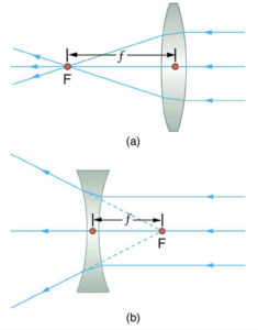 Thin Lenses - Geometrical Optics - MCAT Content