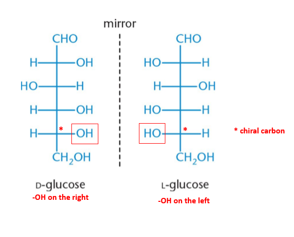 Absolute Configuration - Carbohydrates - MCAT Content