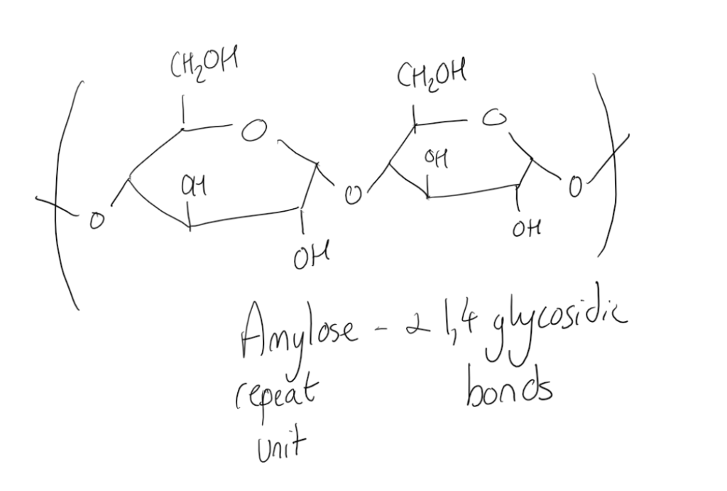 Carbohydrates Monomer And Polymer Diagrams
