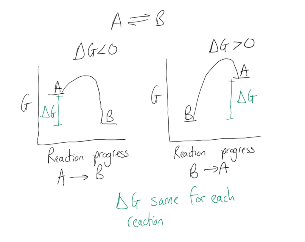 Kinetic Control Versus Thermodynamic Control Of A Reaction - Rate ...